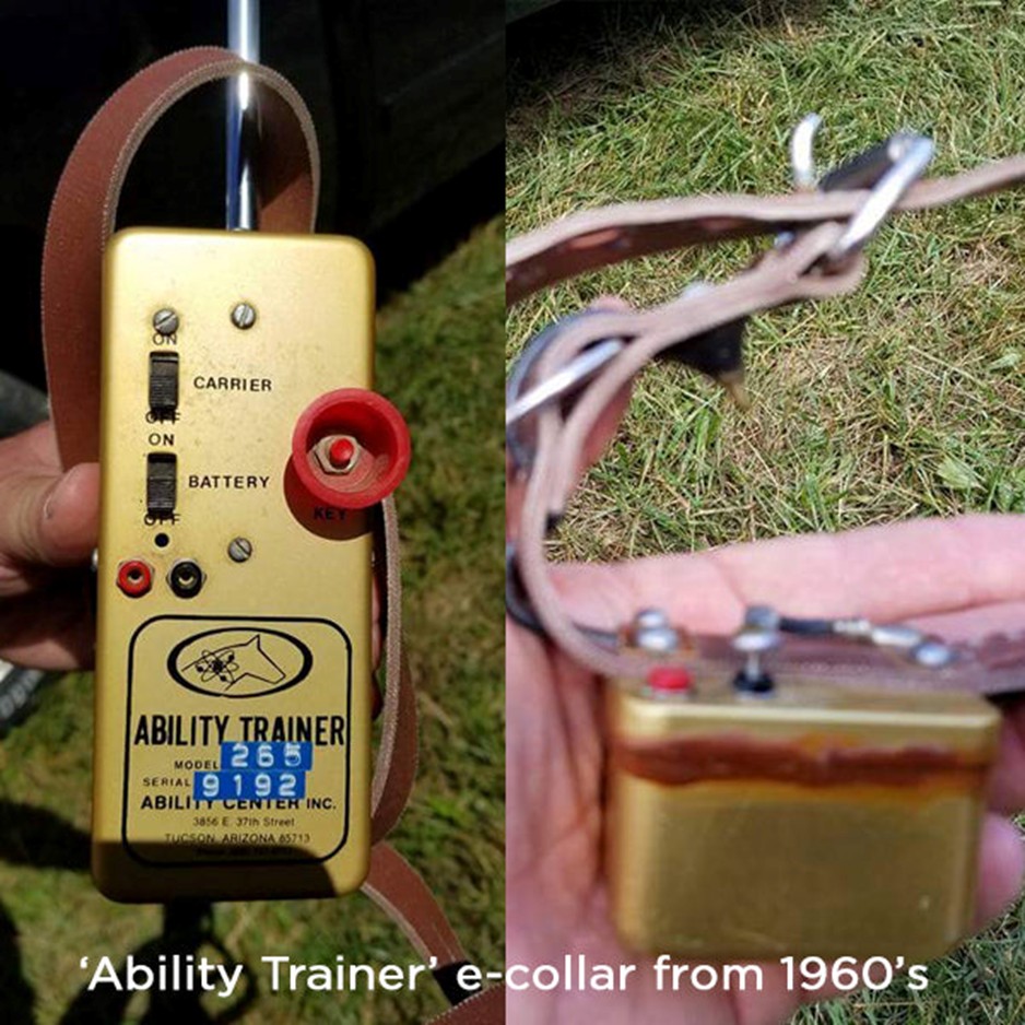The Evolution From Shock Collars to Remote Dog Trainin Collars ...