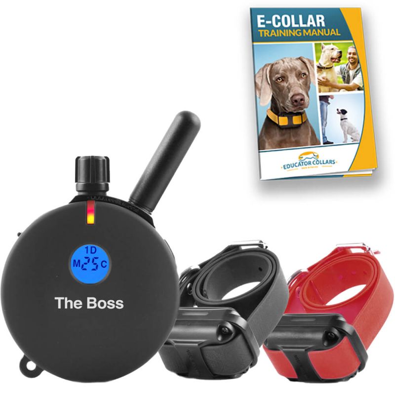 Educator ET-802 The Boss | E Collar Technologies