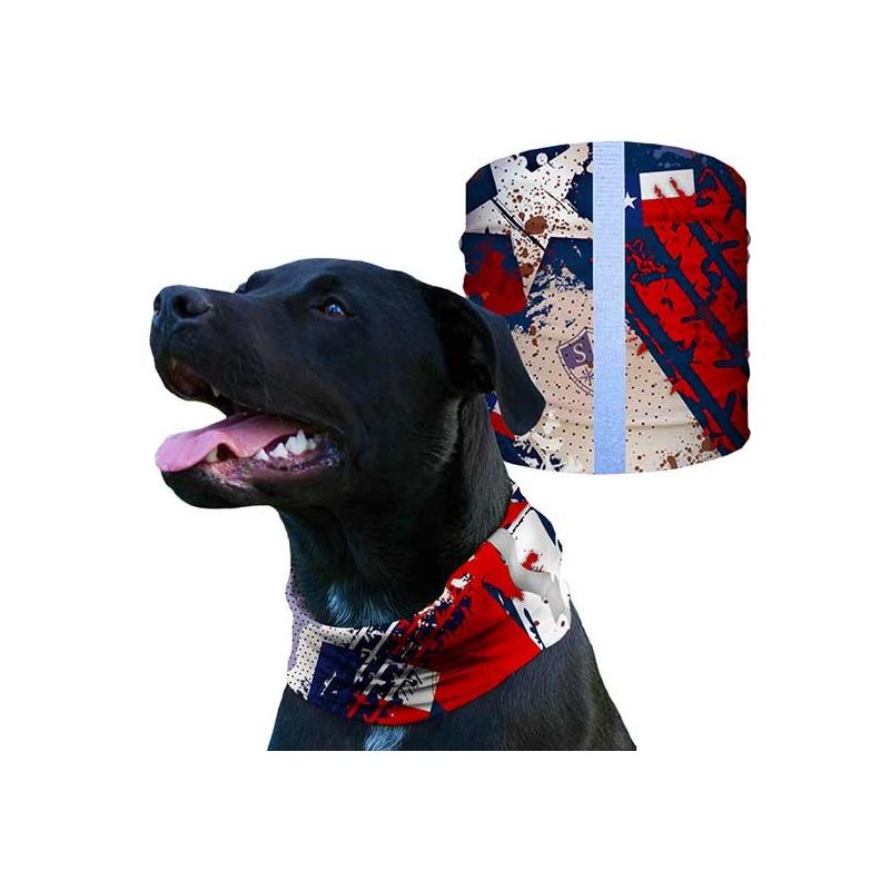 Educator Dog Shield | E Collar Technologies