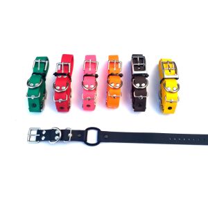 3/4 Inch Collar Straps | Educator Collars