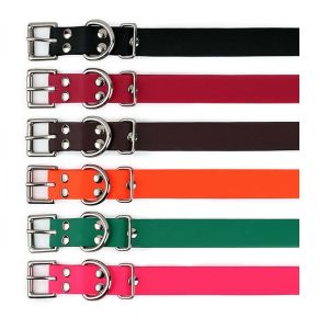 1 Inch Collar Straps | Educator Collars