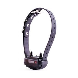 Educator Magnetic Anywhere Clip | E Collar Technologies