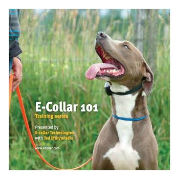 Educator Collars | E Collar Technologies | Dog Training