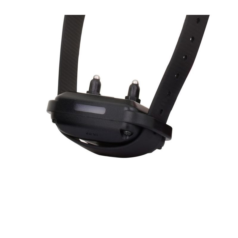 Educator RX-050 FOB Receiver Collar | E Collar Technologies