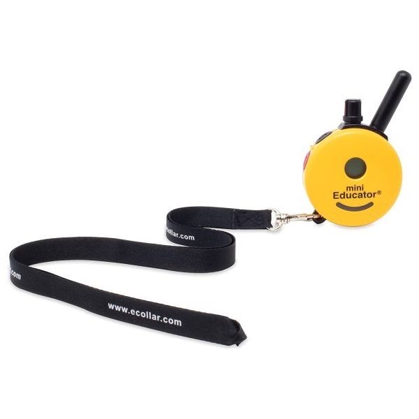 Educator Lanyard | E Collar Technologies